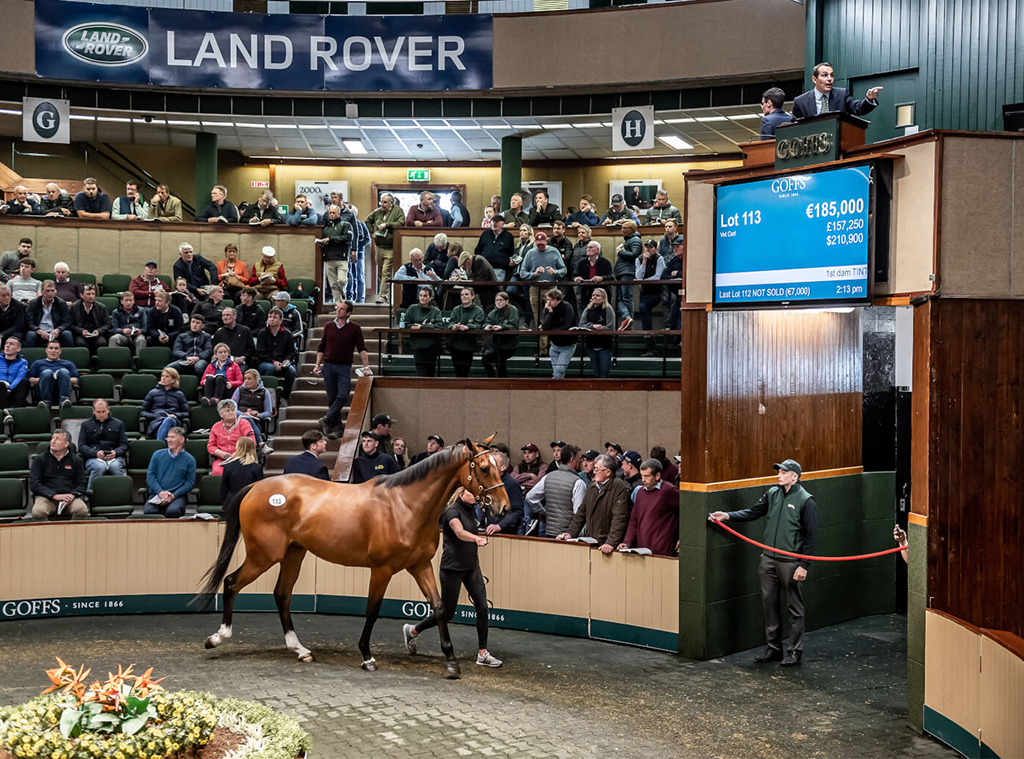 Free Syndicate with Subscription – Tyrrell's Racing